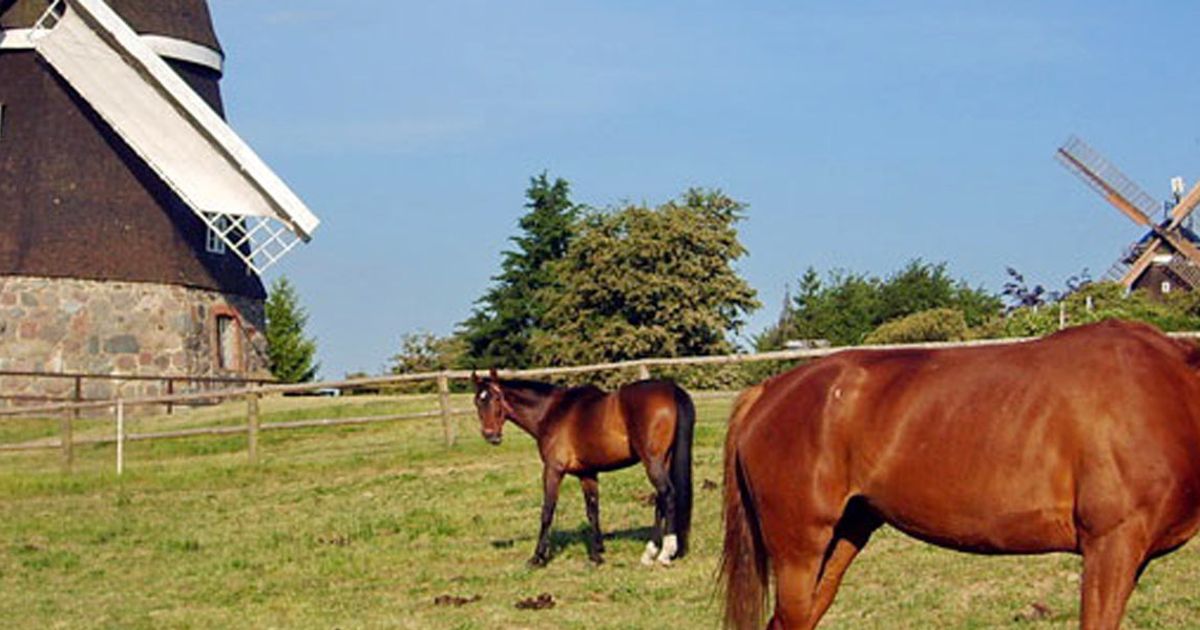 Woldegk - nützliche Tourismus-Informationen