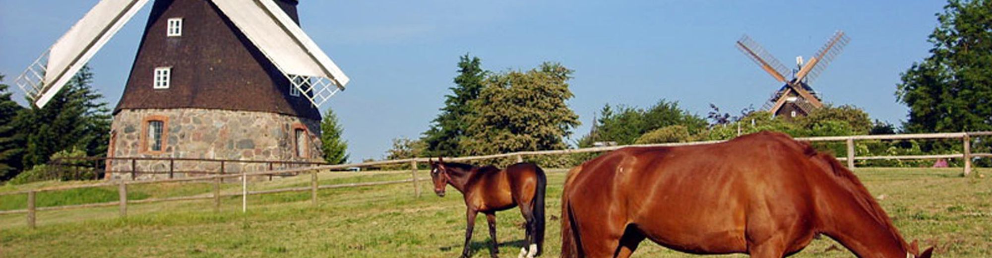 Woldegk - nützliche Tourismus-Informationen